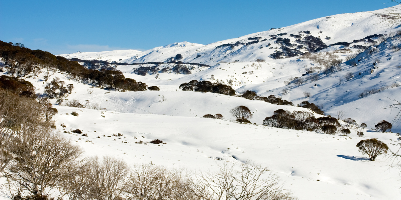 Mount Kosciuszko - Our tallest mount | Absolutely Australia