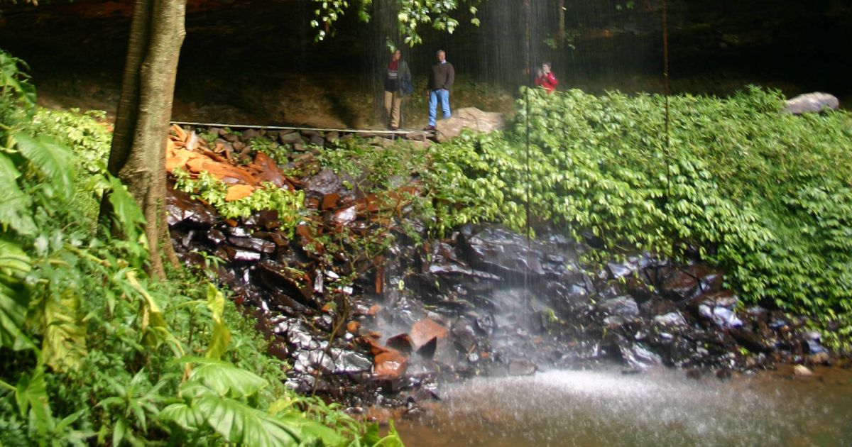 The Beauty of Crystal Shower Waterfalls | Absolutely Australia