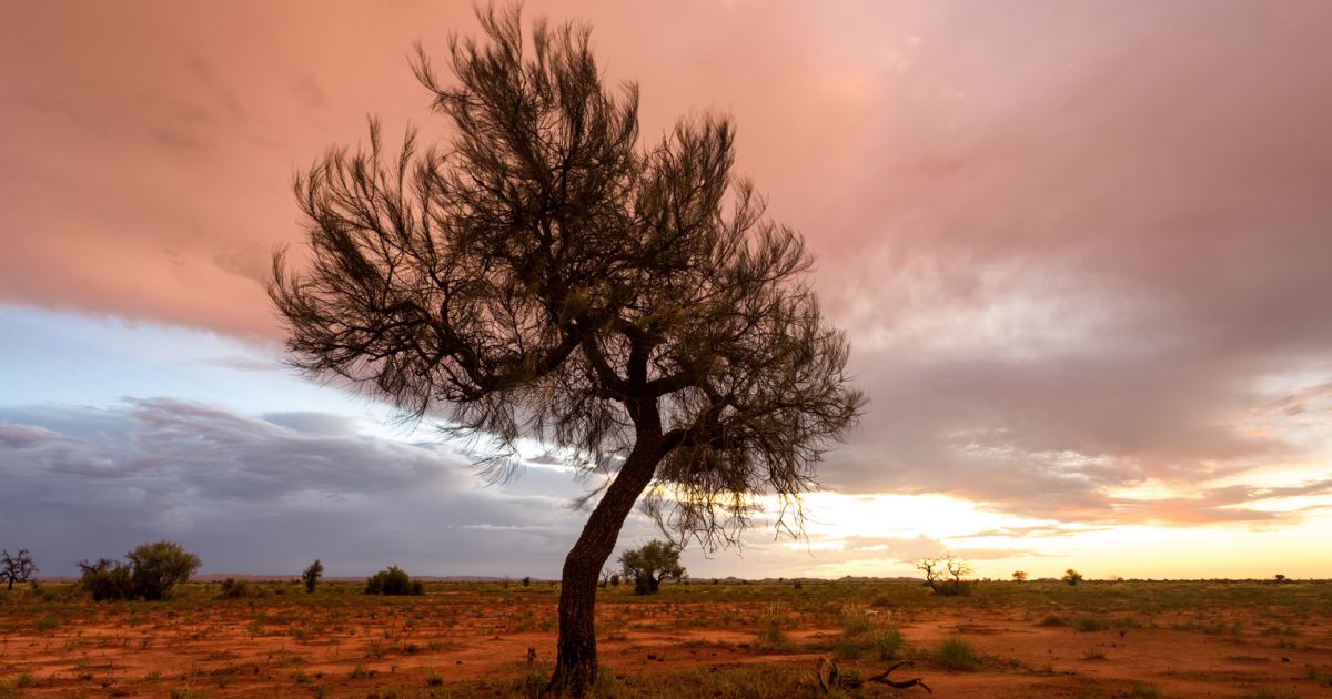 The Pilbara | Absolutely Australia