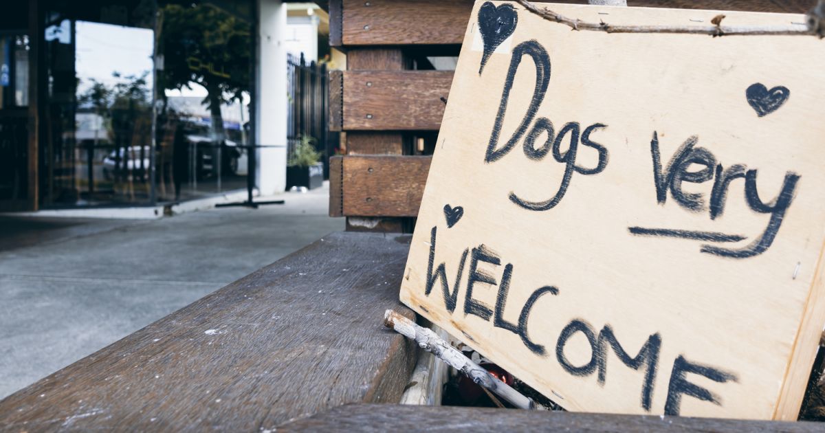 Pet Friendly Holidays | Absolutely Australia